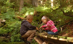 Zauberwald-Pfad in Bernau im Schwarzwald& Erlebnispfad& Themenweg ...